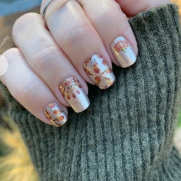 Color Street | Makeup | Color Street Nail Strips Feathered Friends ...